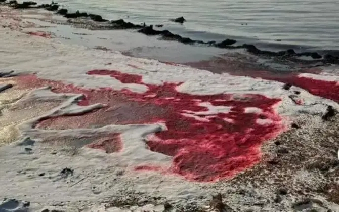 Test Results Revealed After Caspian Sea Turns Red - Caspianpost.com
